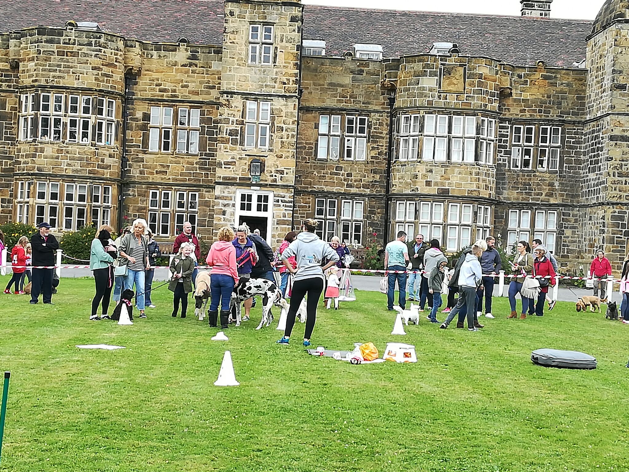 Fun Dog Events This Summer Holidays4Dogs Home Boarding For Dogs