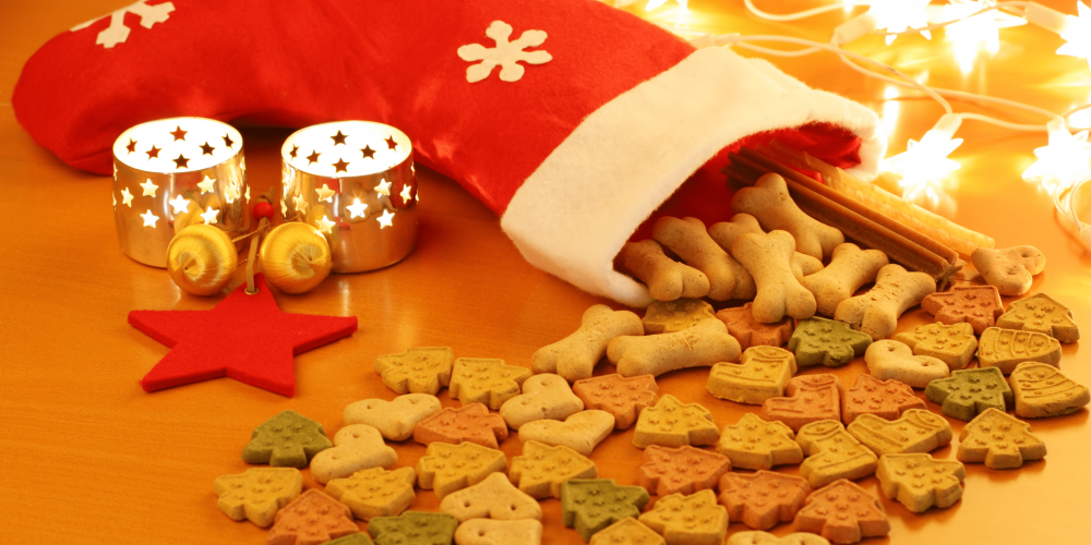 Christmas Dinner For Dogs. - Holidays4Dogs - Home Boarding for Dogs